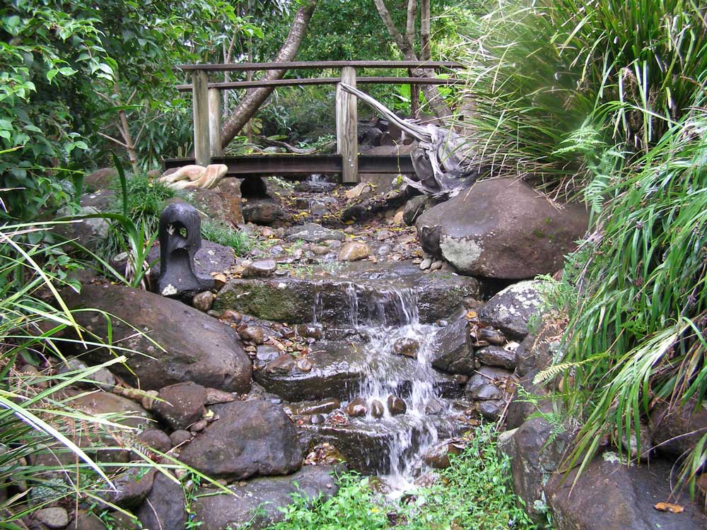 Garden Design and Landscaping Northern Rivers and Tweed